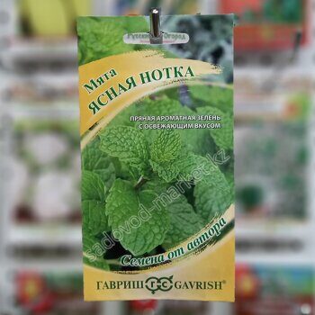 Мята ясная нотка